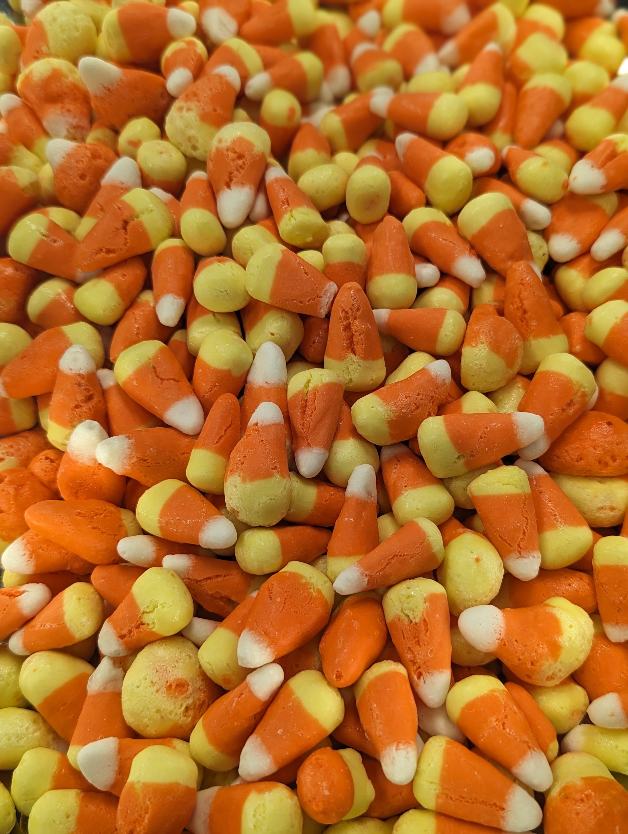 Candy Korn | Extreme Freeze Specialties